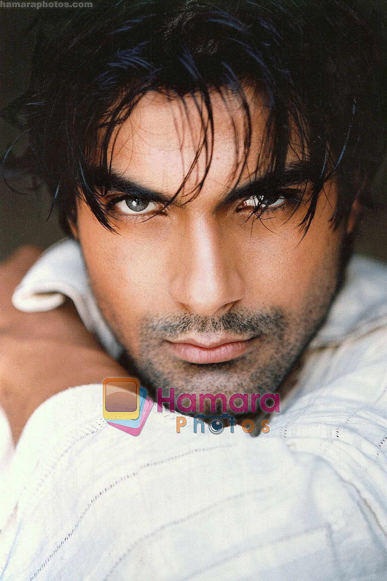 Ashmit Patel / Ashmit Patel - Bollywood Photos